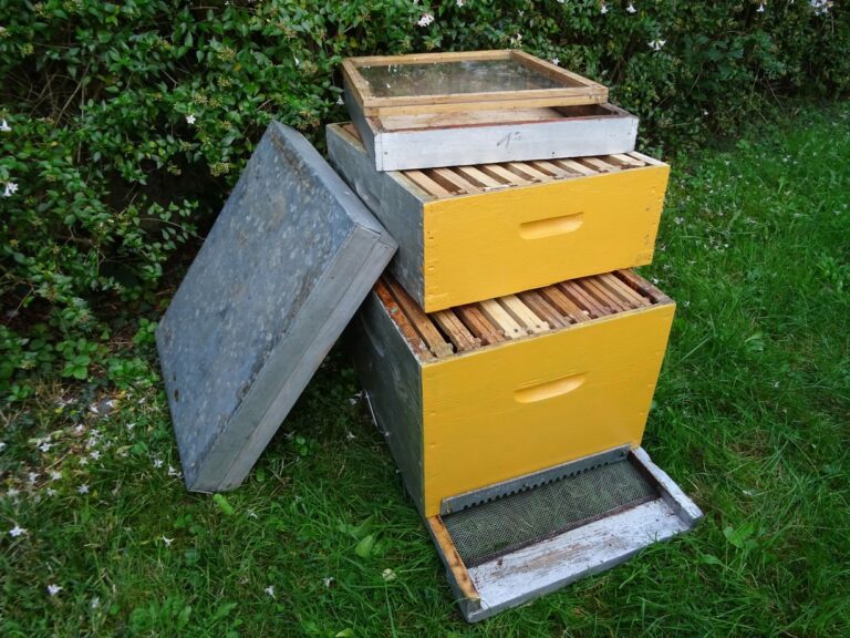 Ruches Dadant à vendre – Abeille des Gaves et Nives